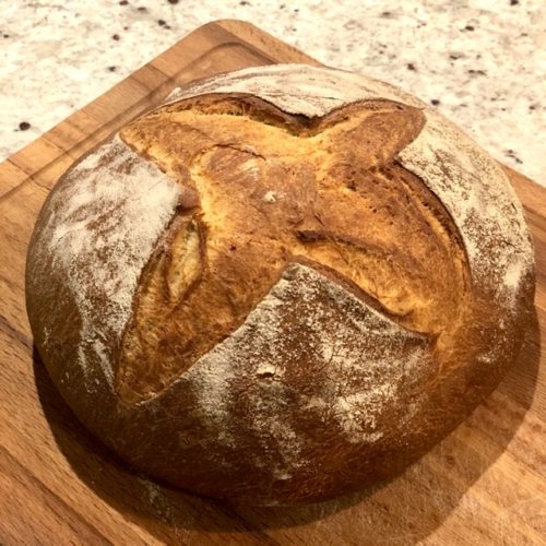 Red Leicester Cob - Northern Woods Farm